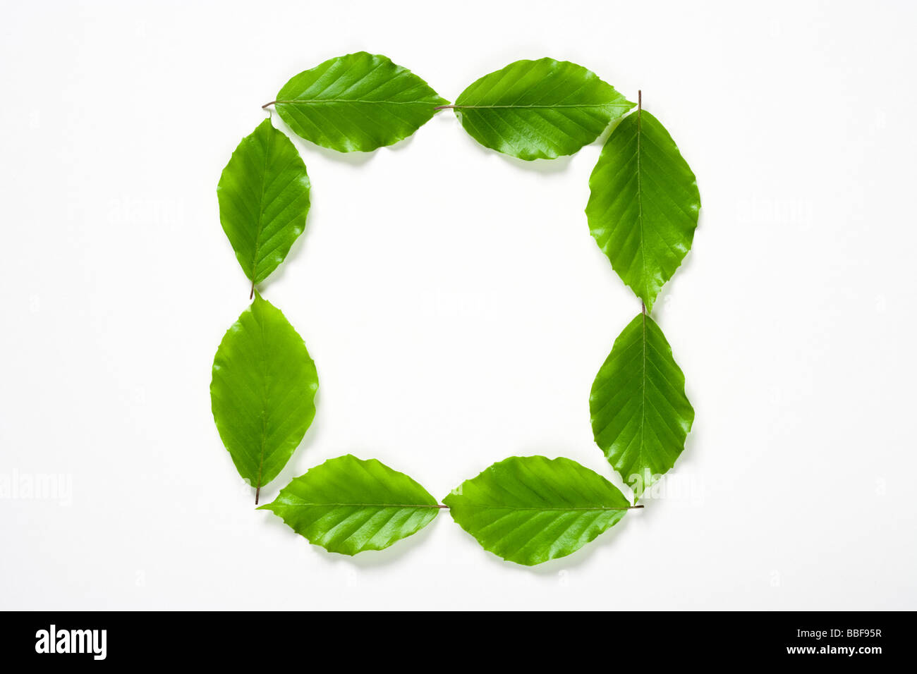 Square border hi-res stock photography and images - Alamy