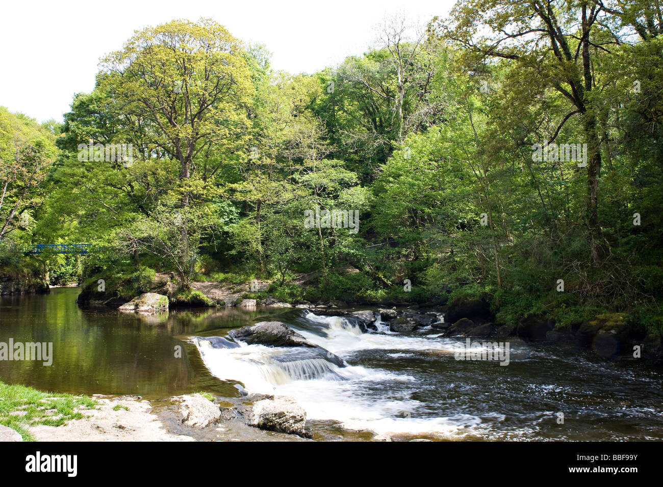Phillips Weir River Roe County Londonderry Northern Ireland Stock Photo ...