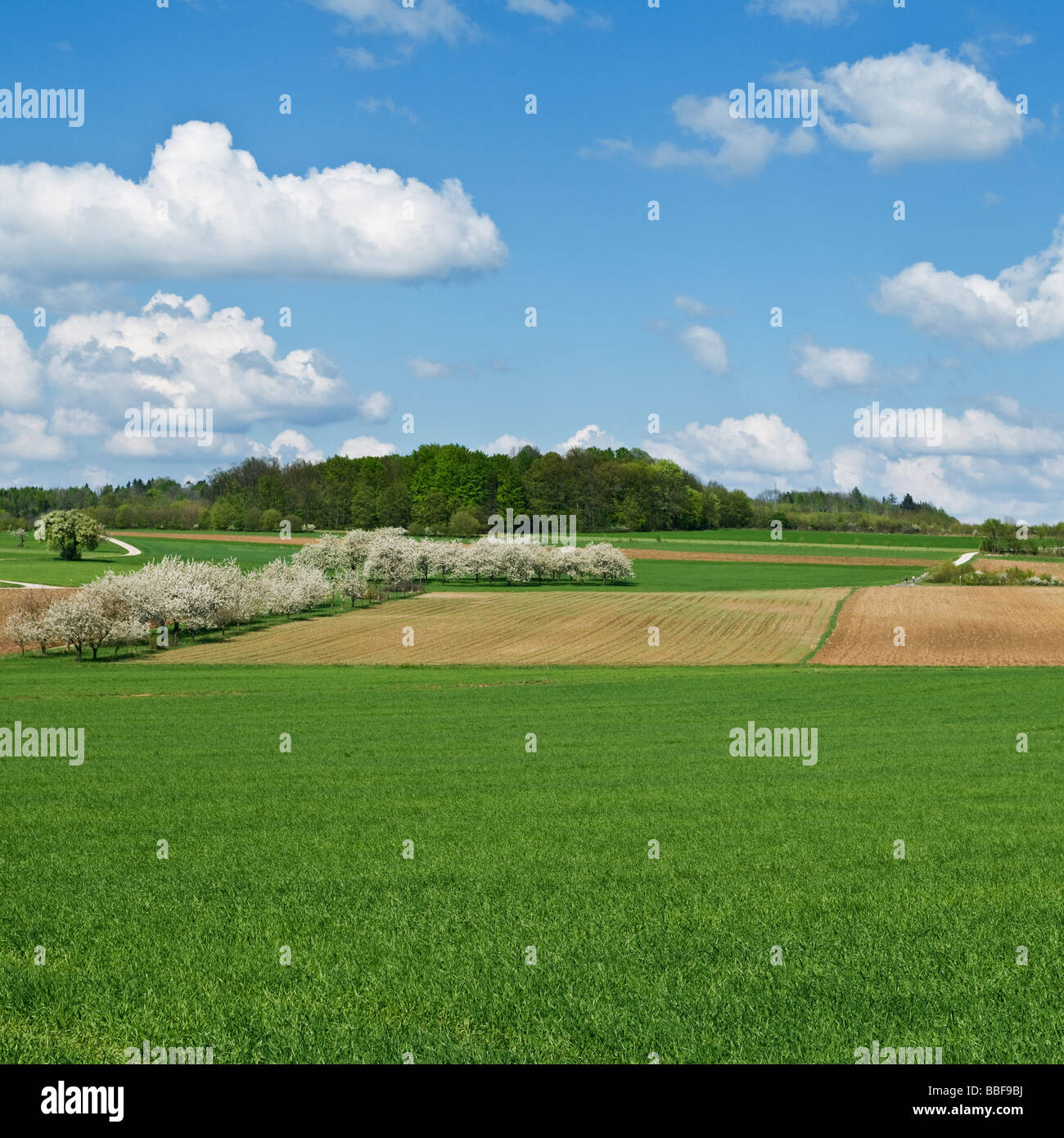 Farm fields hi-res stock photography and images - Alamy