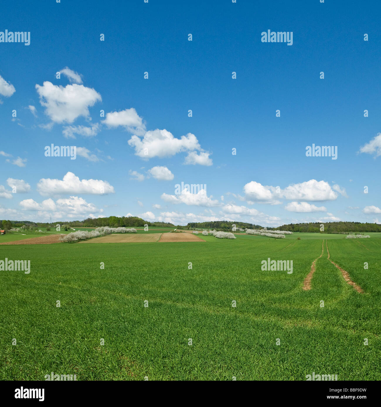 Spring farm fields, Franconia, Bavaria, Germany Stock Photo - Alamy