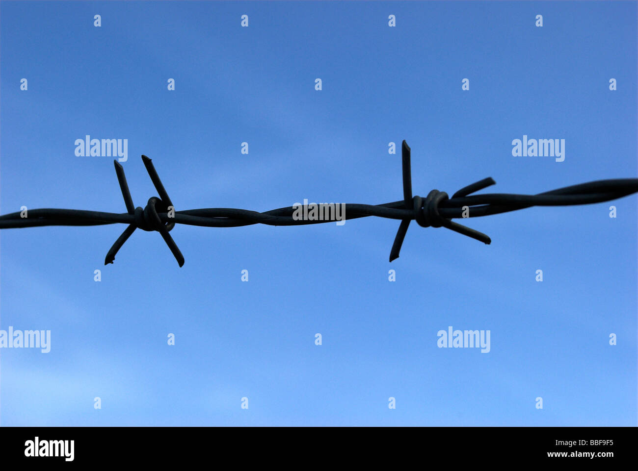 Barberd wire hi-res stock photography and images - Alamy