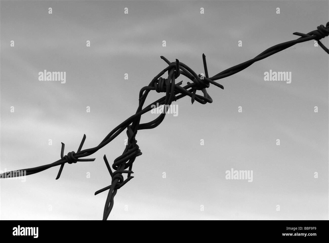 Warn warning wire Black and White Stock Photos & Images - Alamy