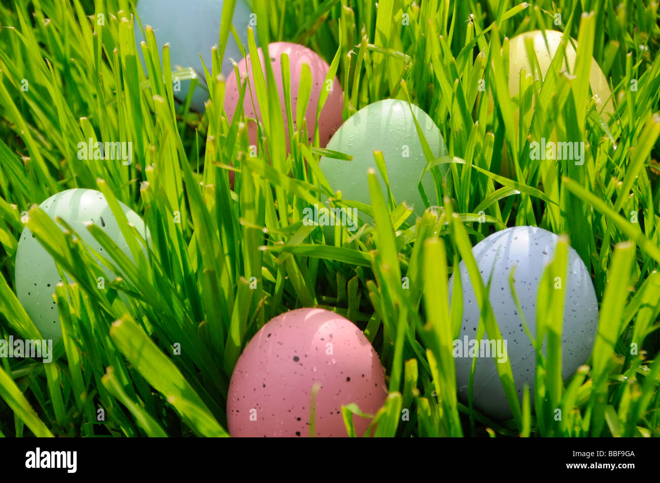 Easter Eggs in Grass Stock Photo - Alamy