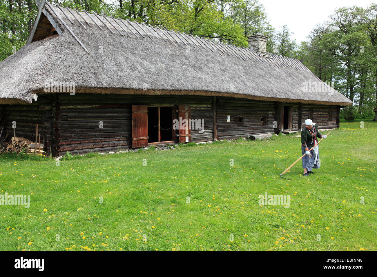 woman using a scythe in front of a traditional wooden farmhouse ...