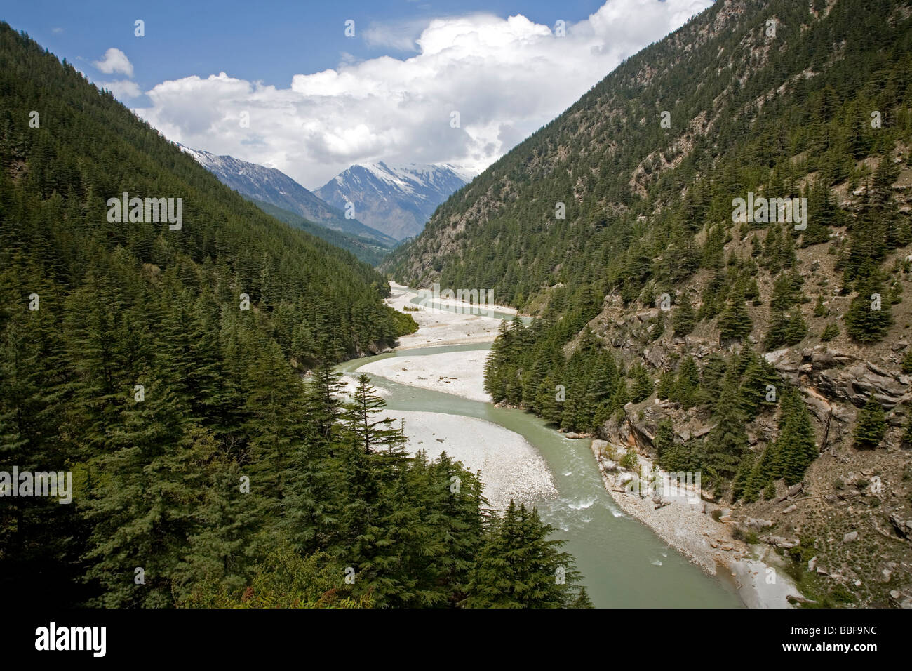 The Ganges river. Near Gangotri. Uttarakhand. India Stock Photo - Alamy