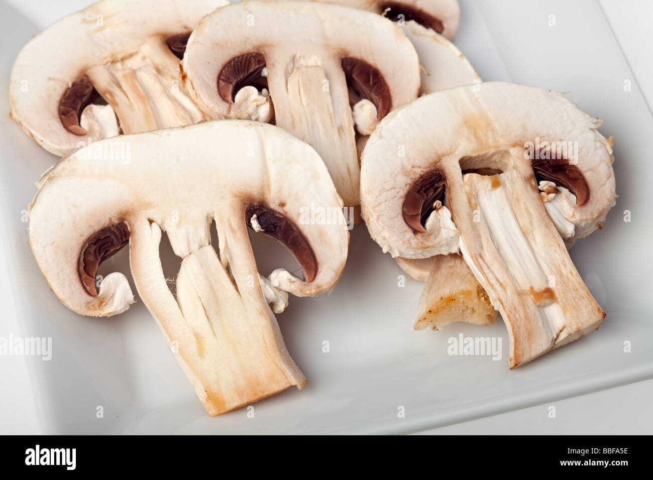 Champignon mushroom slice hi-res stock photography and images - Alamy