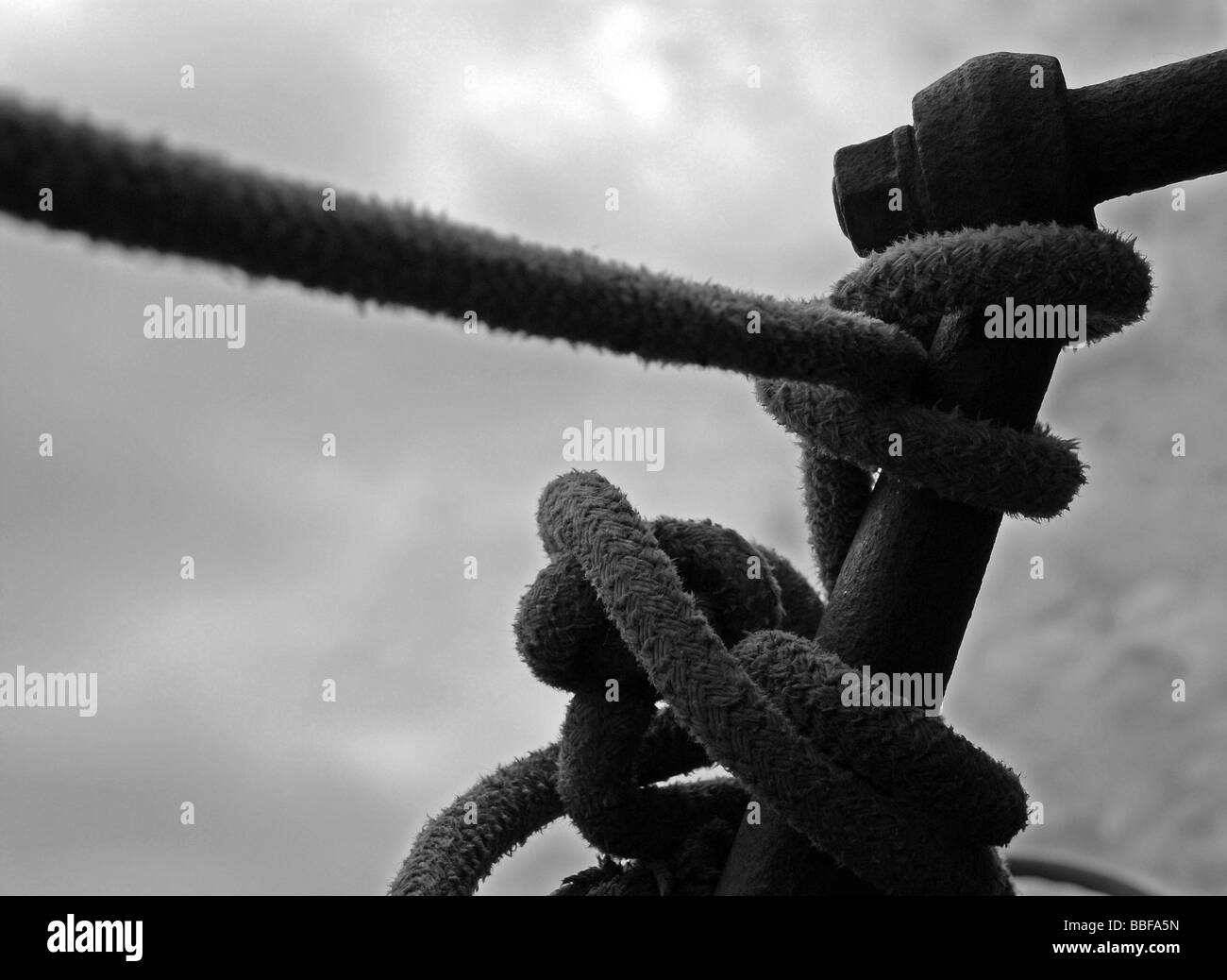 Rope knot Black and White Stock Photos & Images - Alamy
