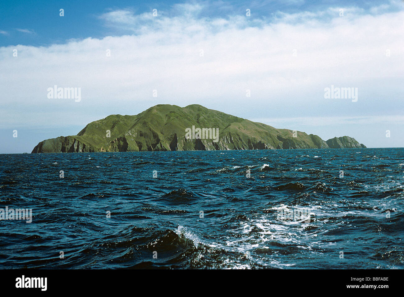 Cook strait fossil hi-res stock photography and images - Alamy