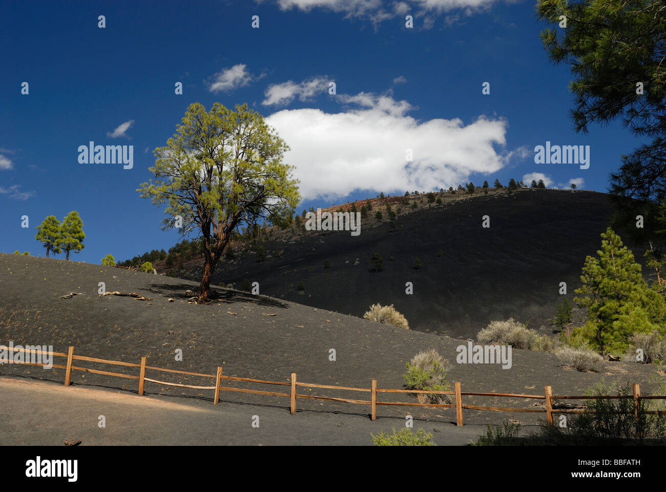 Sunset Crater Volcano in Northern Arizona Stock Photo - Alamy