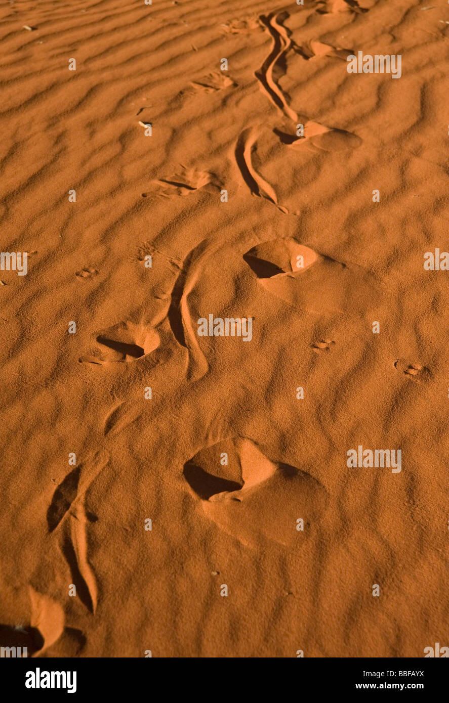 Running Tracks Stock Photos & Running Tracks Stock Images - Alamy