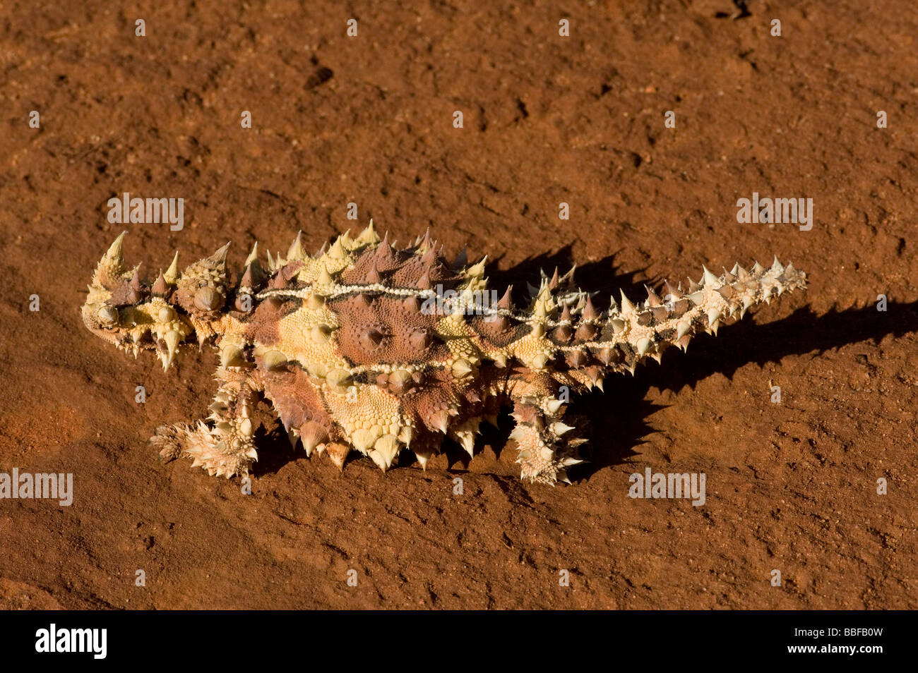 Moloch hi-res stock photography and images - Alamy