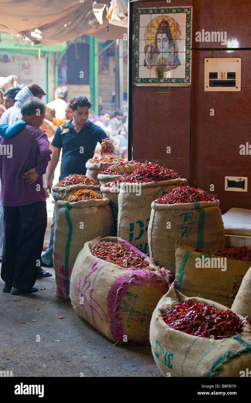 Chili Shop in the Spice Market in Delhi India Stock Photo - Alamy