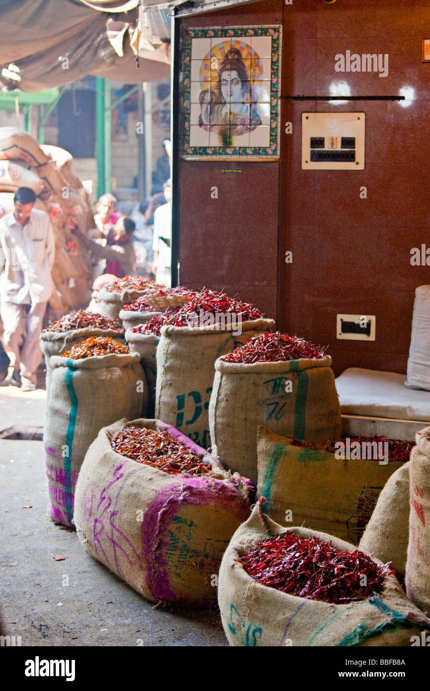 Chili Shop in the Spice Market in Delhi India Stock Photo - Alamy