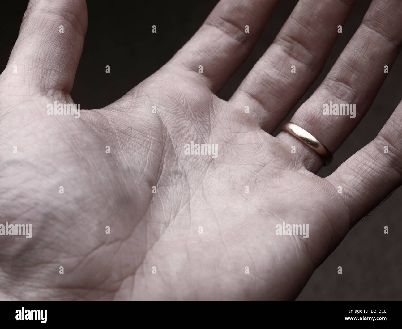 Closeup of a male hand Stock Photo - Alamy