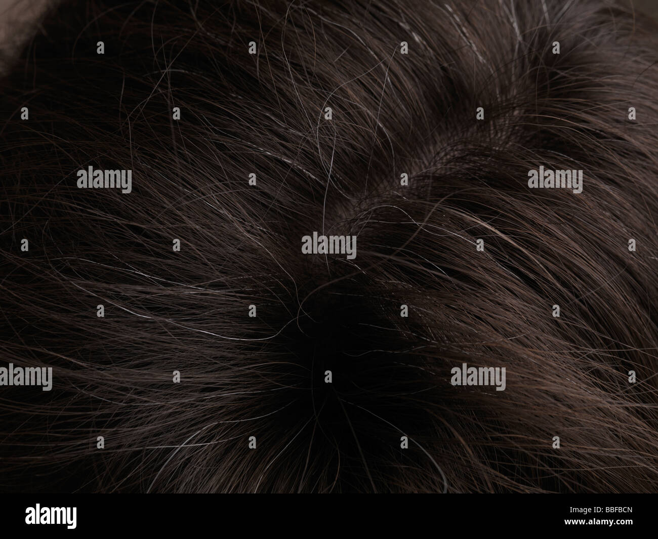 Grey hairs on a woman's head Stock Photo - Alamy