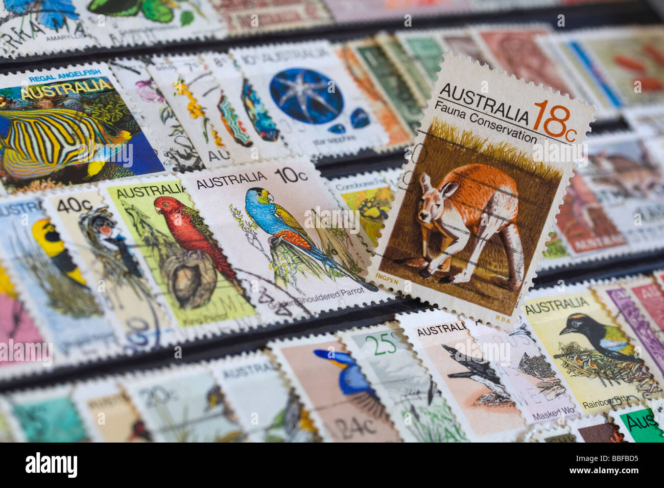 An Australian postage stamp depicting a red kangaroo raised on a stamp ...
