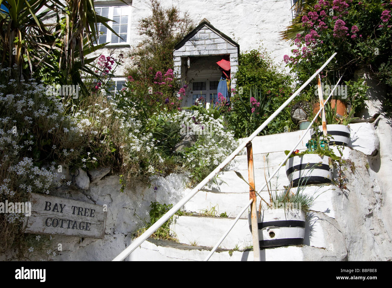 Bay tree cottage hi-res stock photography and images - Alamy