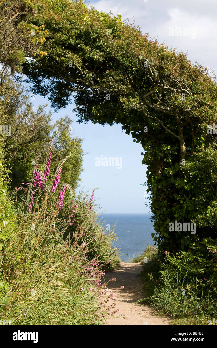 Cornwall devon landscape hi-res stock photography and images - Alamy