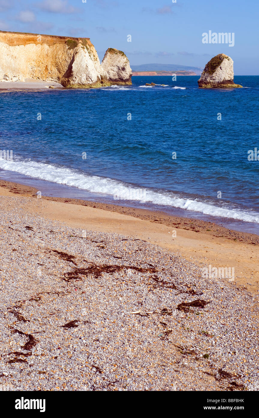 Landscape, Freshwater Bay, Isle of Wight, England, UK, GB Stock Photo ...