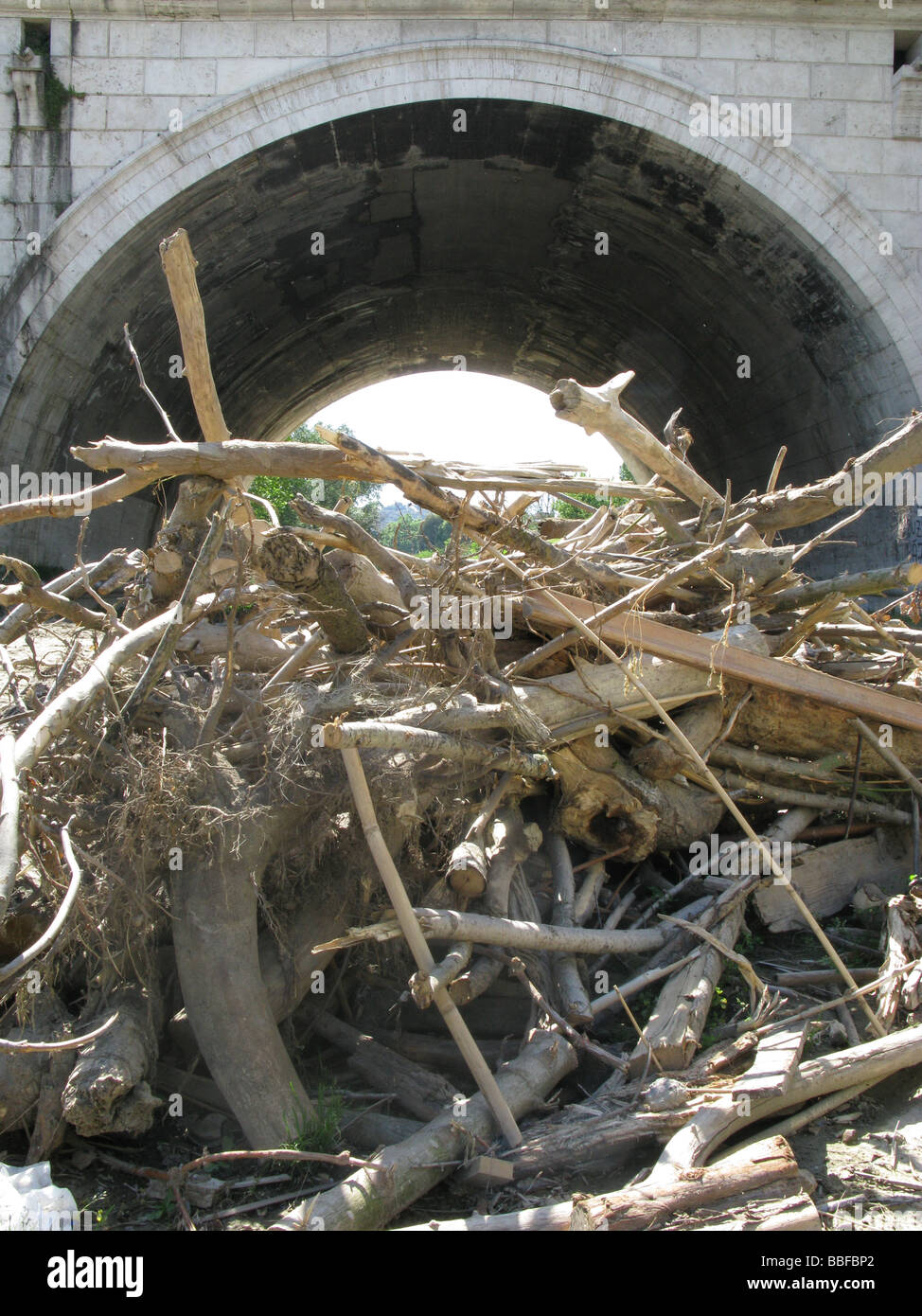 pile of old branches under bridge after flood Stock Photo - Alamy