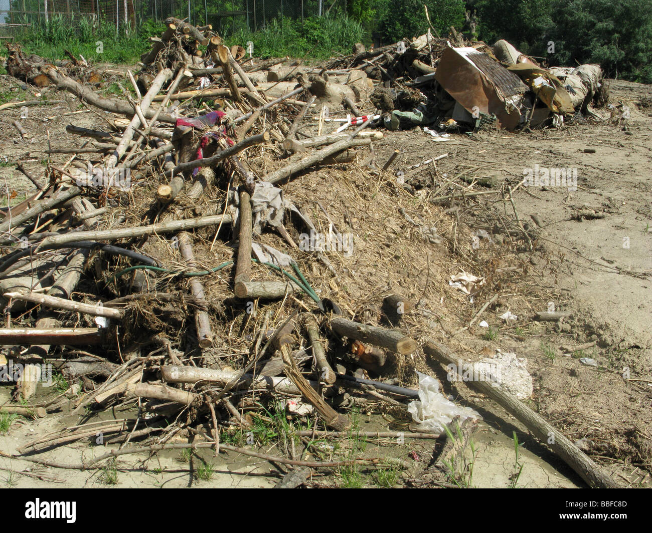lots of cut trees in land reclamation in countryside Stock Photo - Alamy