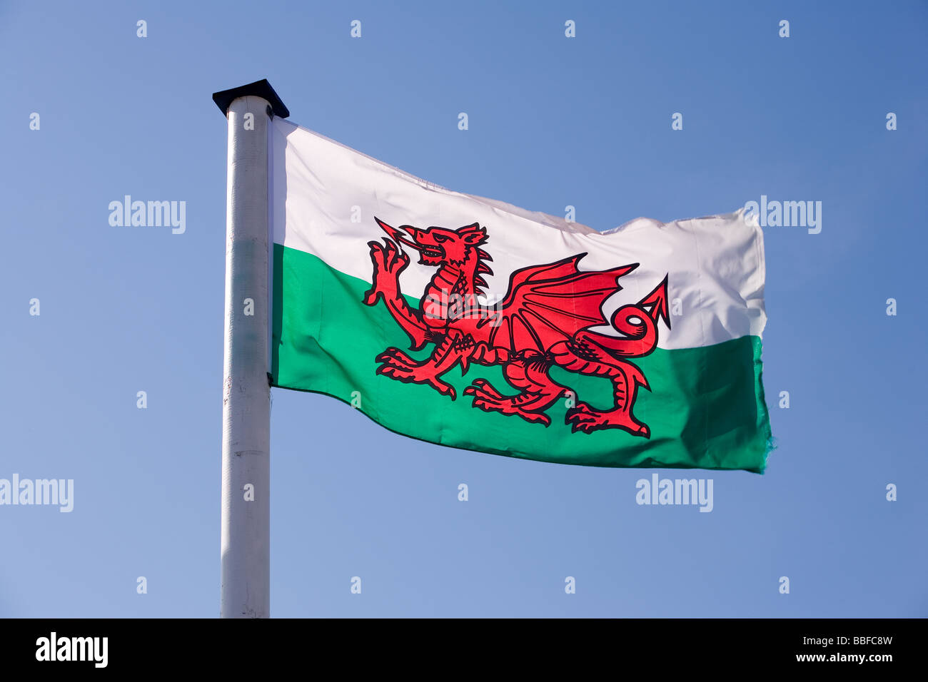 the welsh flag featuring a red dragon on a split white and red ...