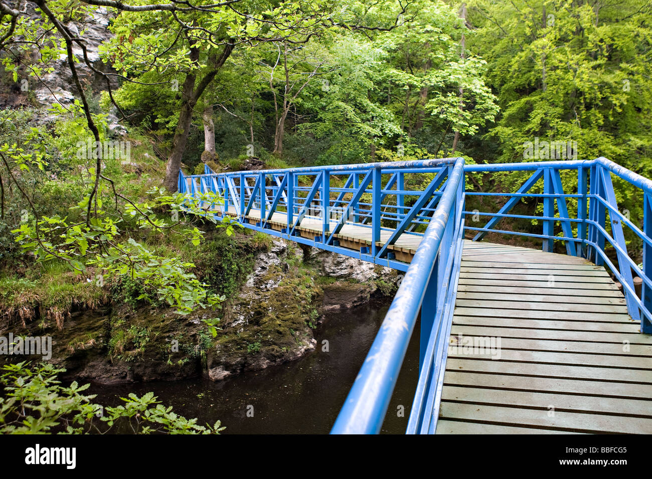 Bridge at Phillips Weir River Roe County Londonderry Northern Ireland ...
