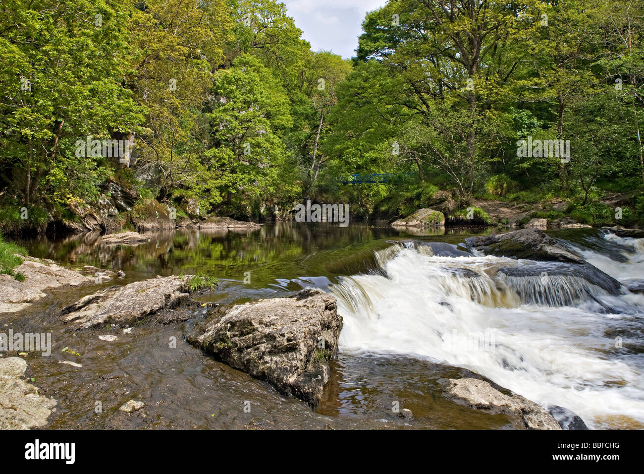 Phillips Weir River Roe County Londonderry Northern Ireland Stock Photo ...