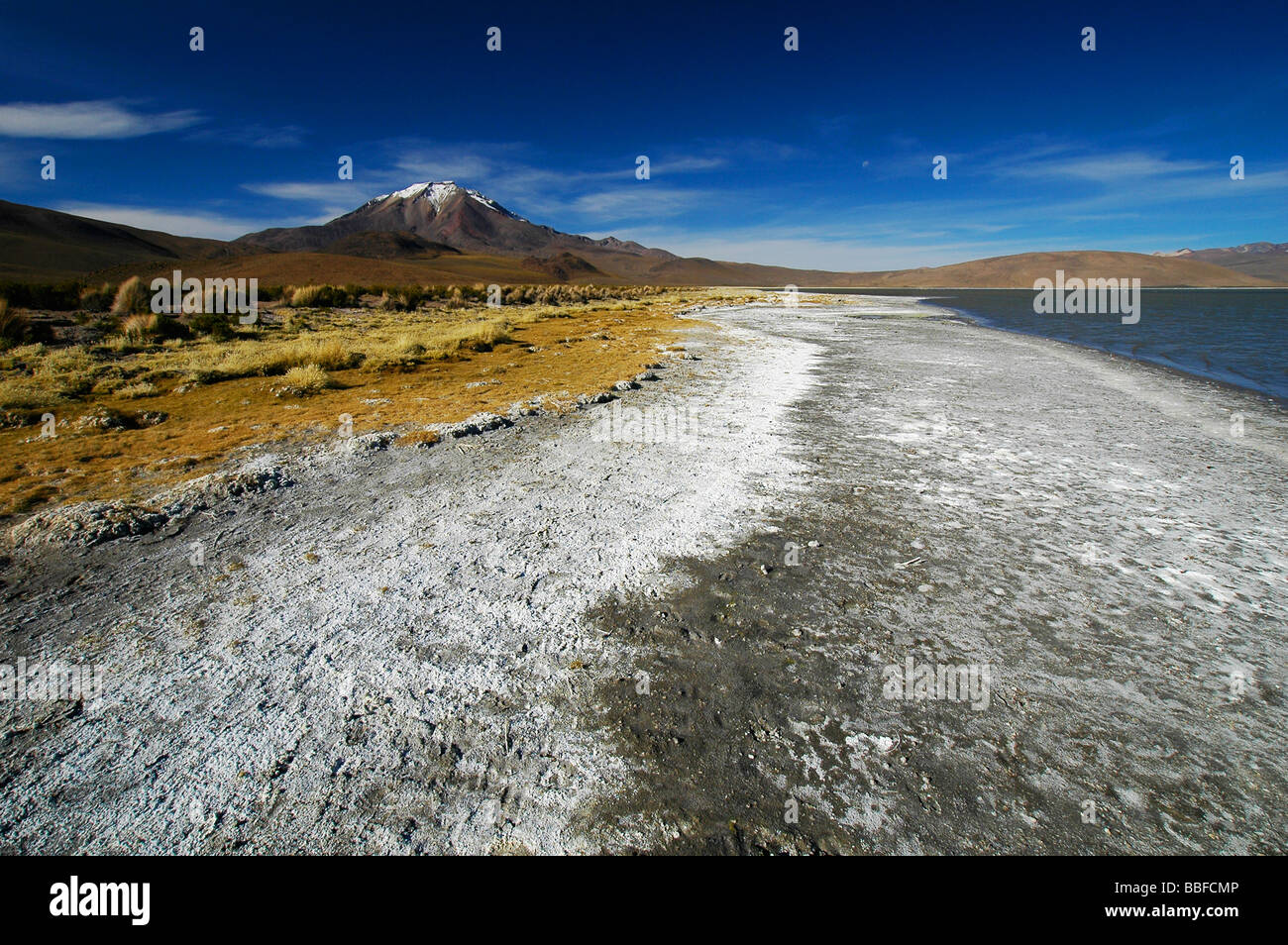 Salt surire chile hi-res stock photography and images - Alamy