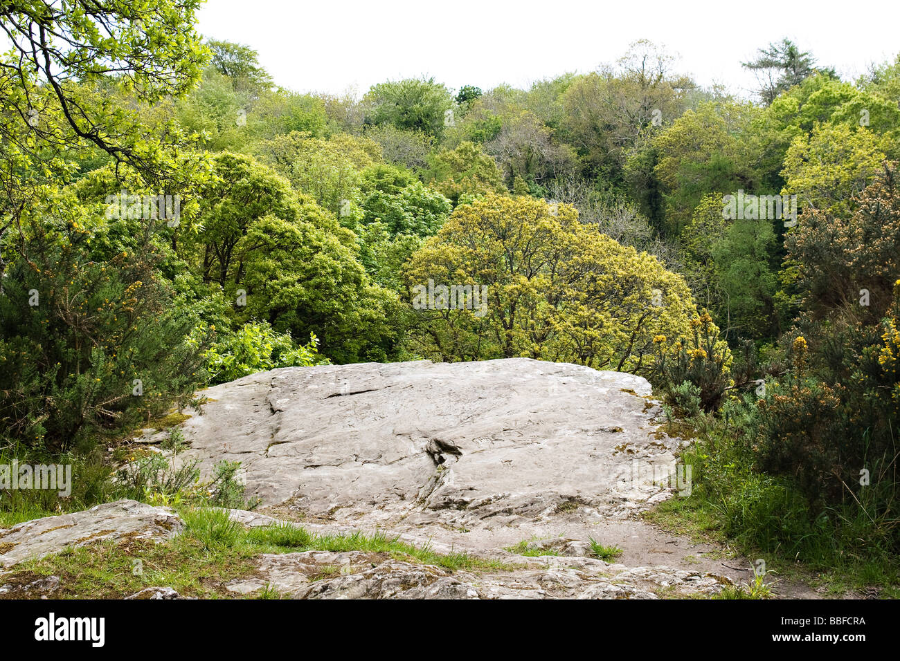 River roe roe valley limavady hi-res stock photography and images - Alamy