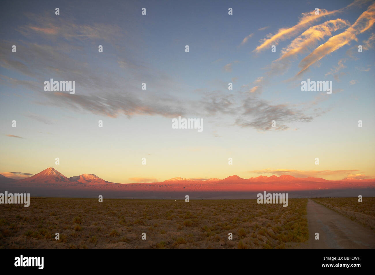 Salar de Atacama, Chile Stock Photo - Alamy