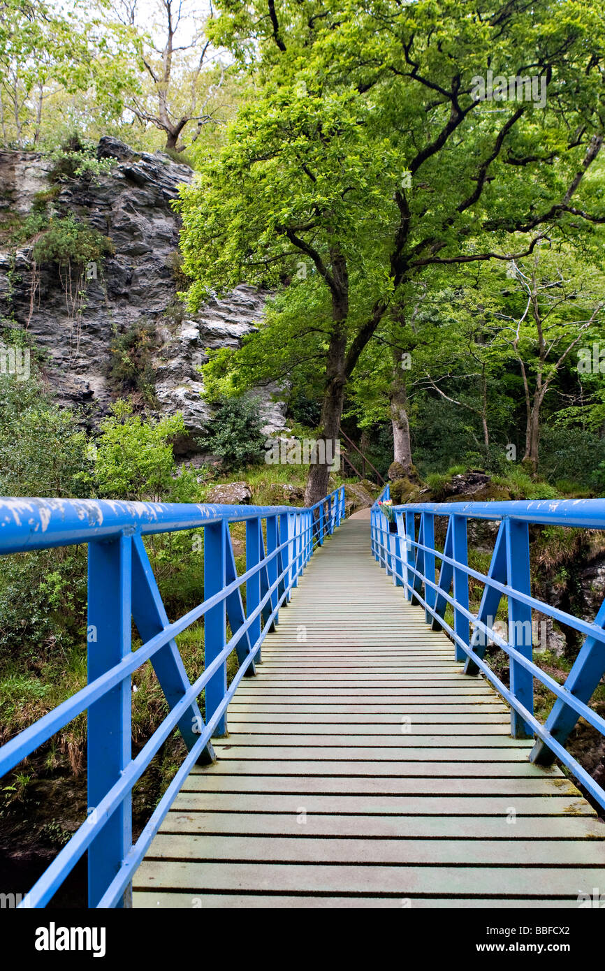 Bridge at Phillips Weir River Roe County Londonderry Northern Ireland ...