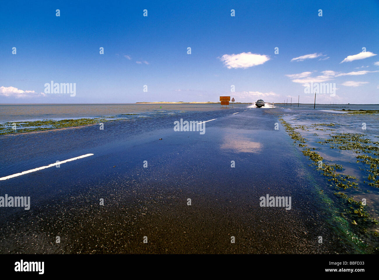 Four wheel drive vehicle crossing the causeway from Holy Island Stock ...