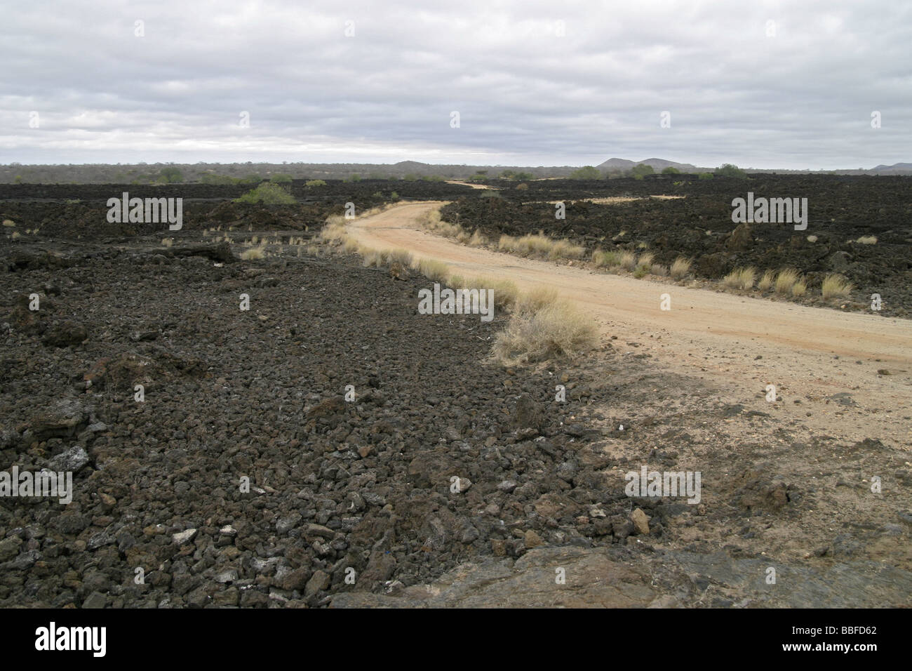 A track through the Shetani lava flow in Kenya Stock Photo - Alamy