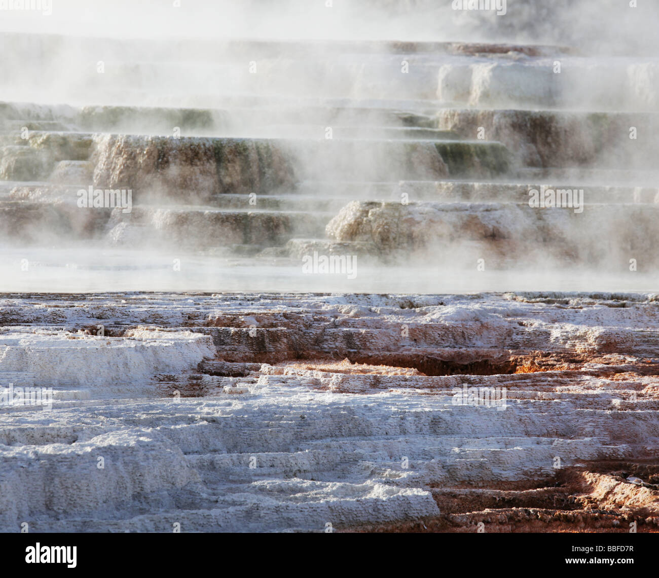 Man on Mammoth Hot Spring Stock Photo - Alamy