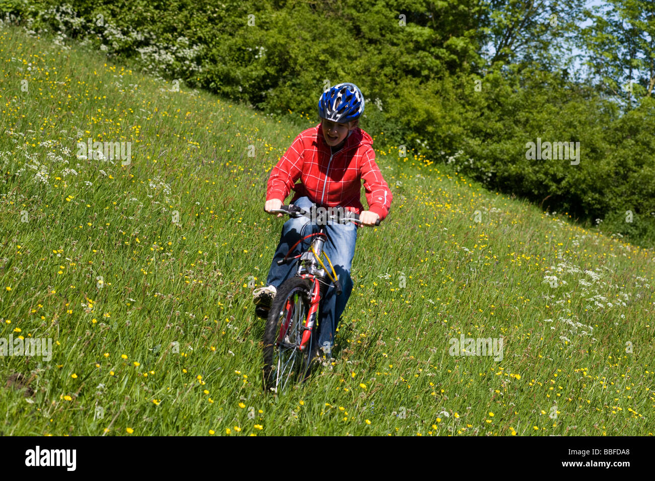 A young teenage boy riding his mountain bike in a field of buttercups ...