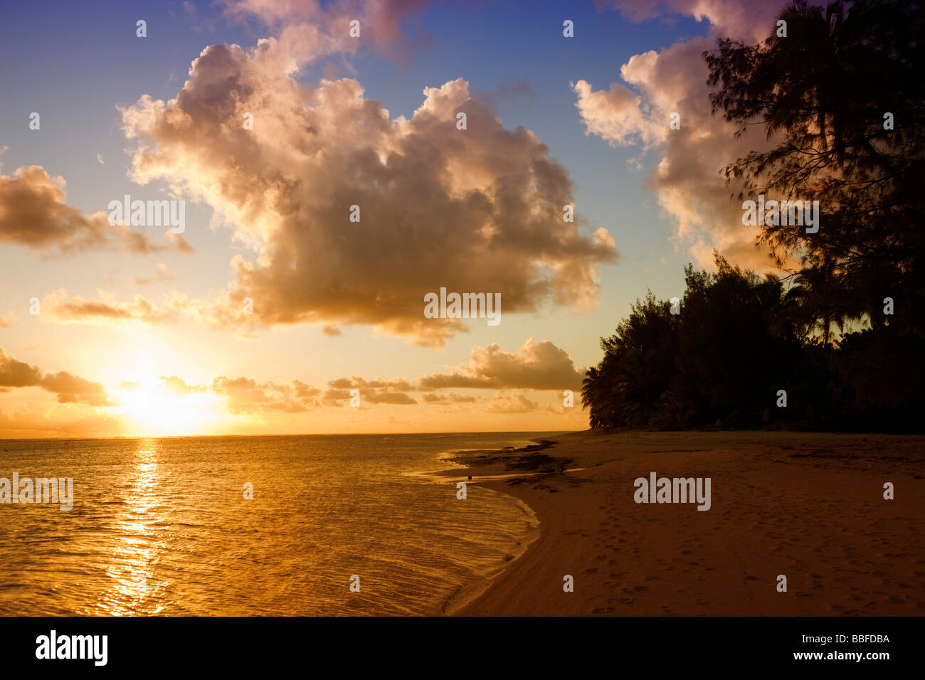 Sunset on Beach of a Tropical Island Rarotonga Cook Islands Polynesia ...