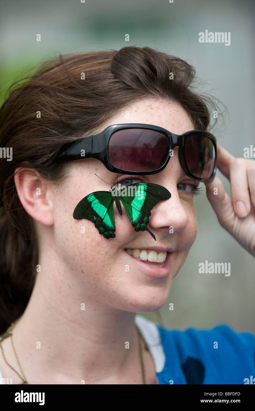 Butterfly face hi-res stock photography and images - Alamy