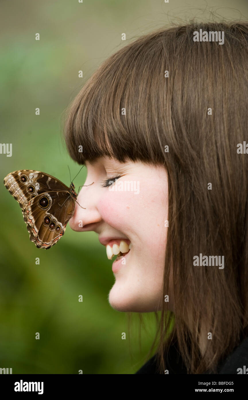 Butterflies flying hi-res stock photography and images - Alamy