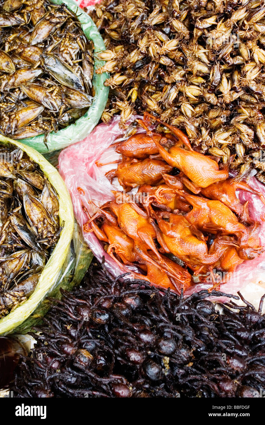 Insects for sale at market in Phnom Penh, Cambodia Stock Photo - Alamy