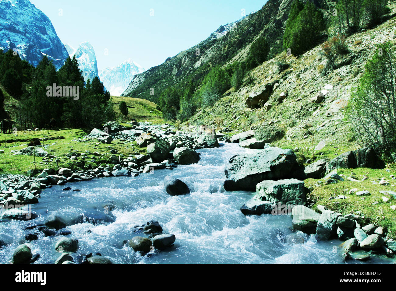 Clean mountain river Stock Photo - Alamy