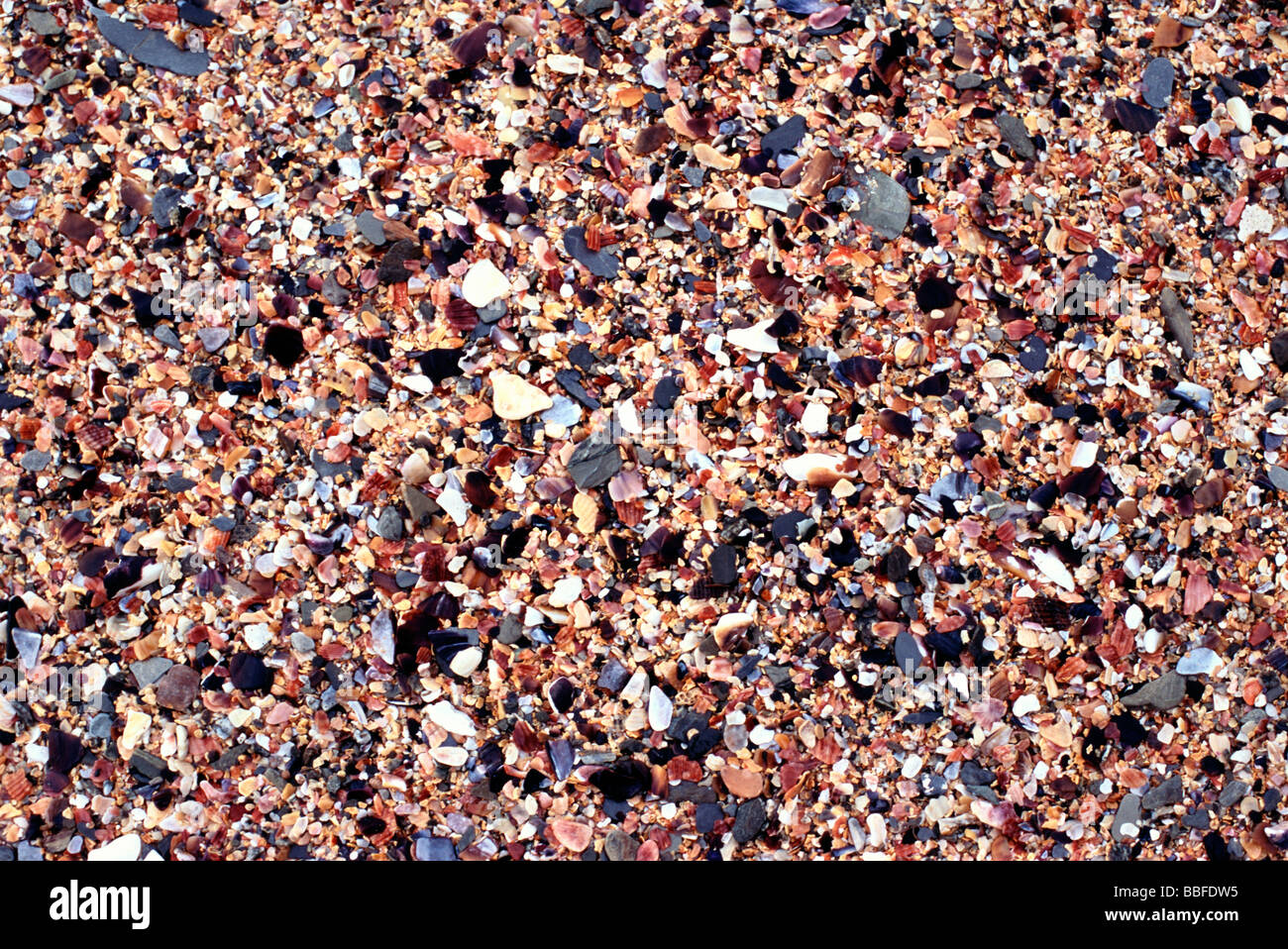 Course sand made of crushed shells on a Cornish beach Stock Photo - Alamy