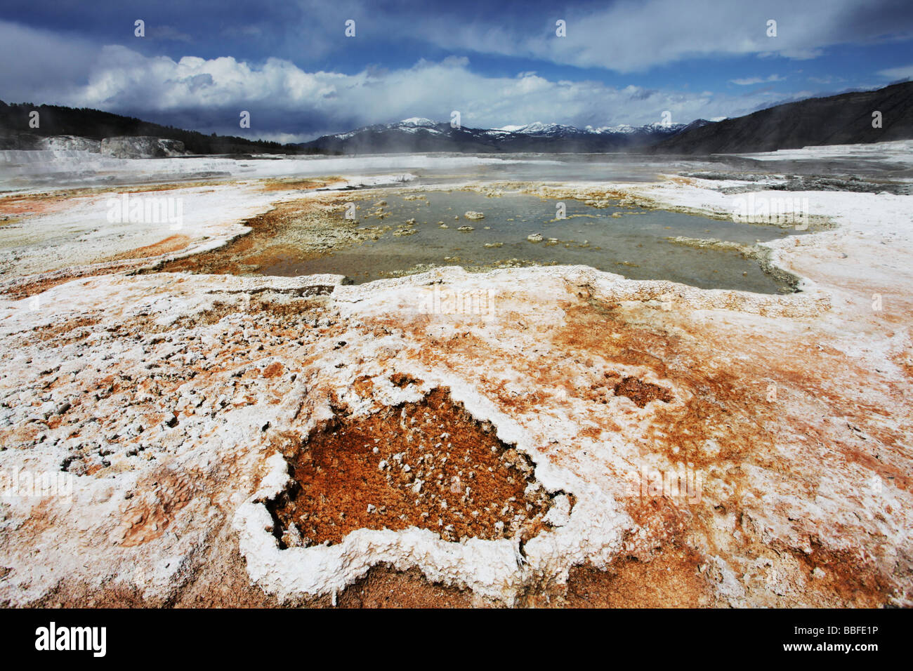 Mammoth Hot Spring Stock Photo - Alamy
