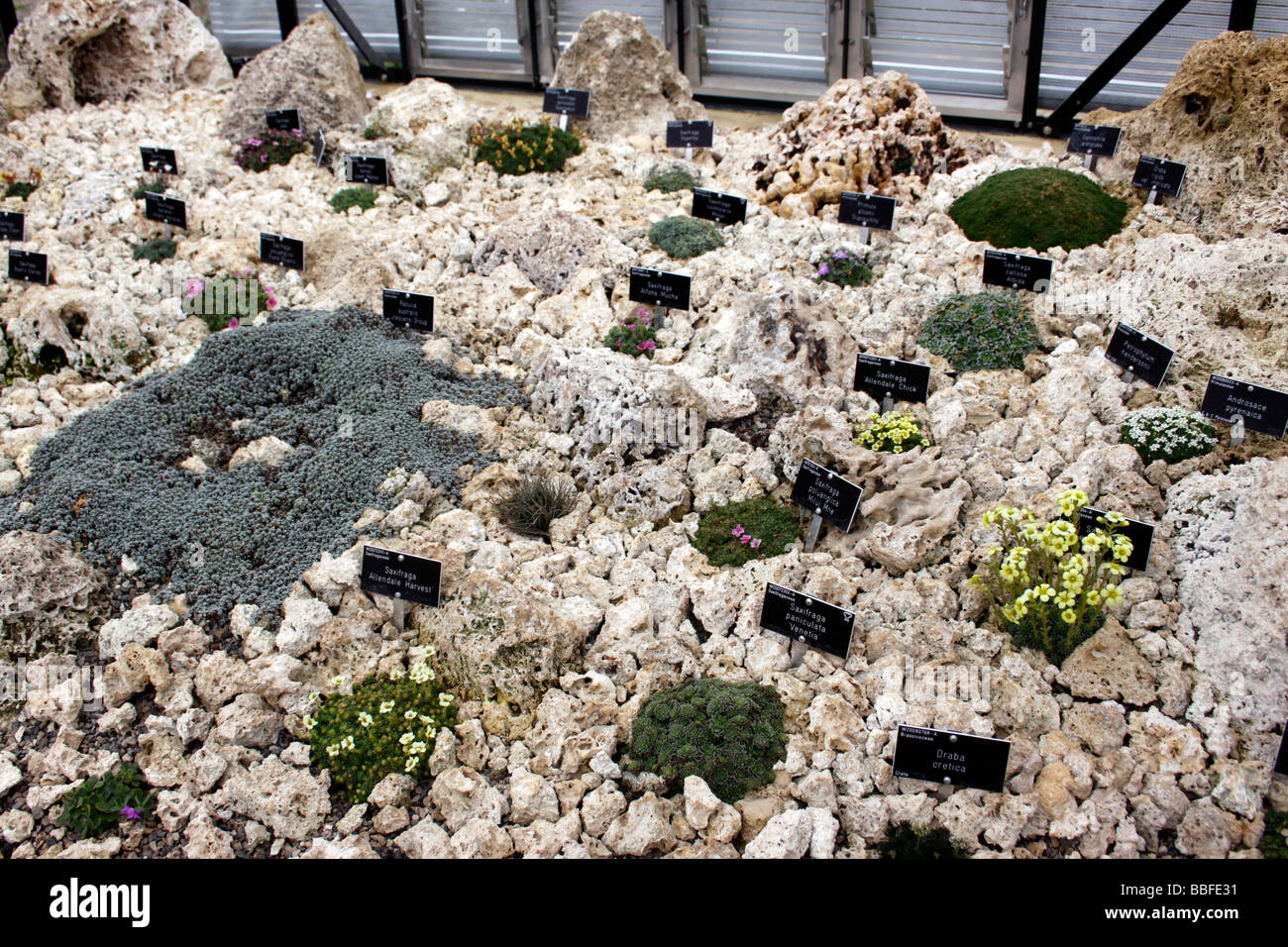 Alpine display house glasshouse hi-res stock photography and images - Alamy