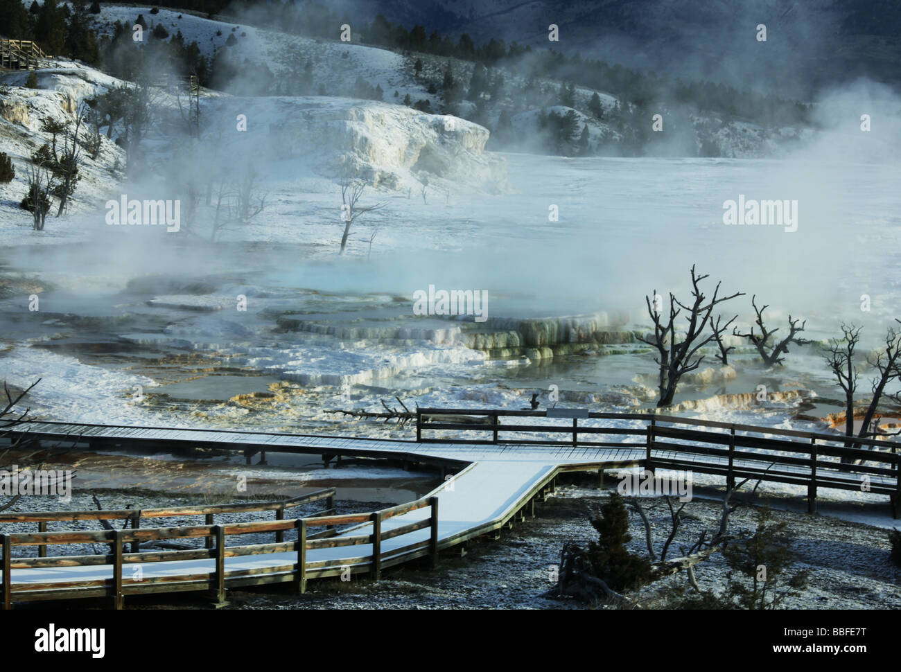 Mammoth Hot Spring Stock Photo - Alamy