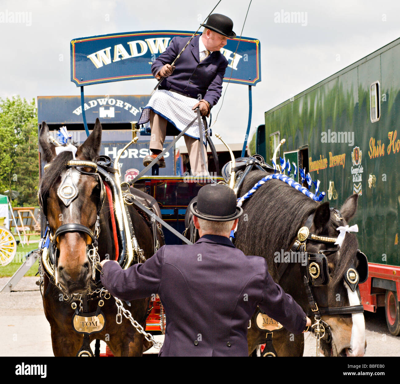Dray horse being prepared horse hi-res stock photography and images - Alamy