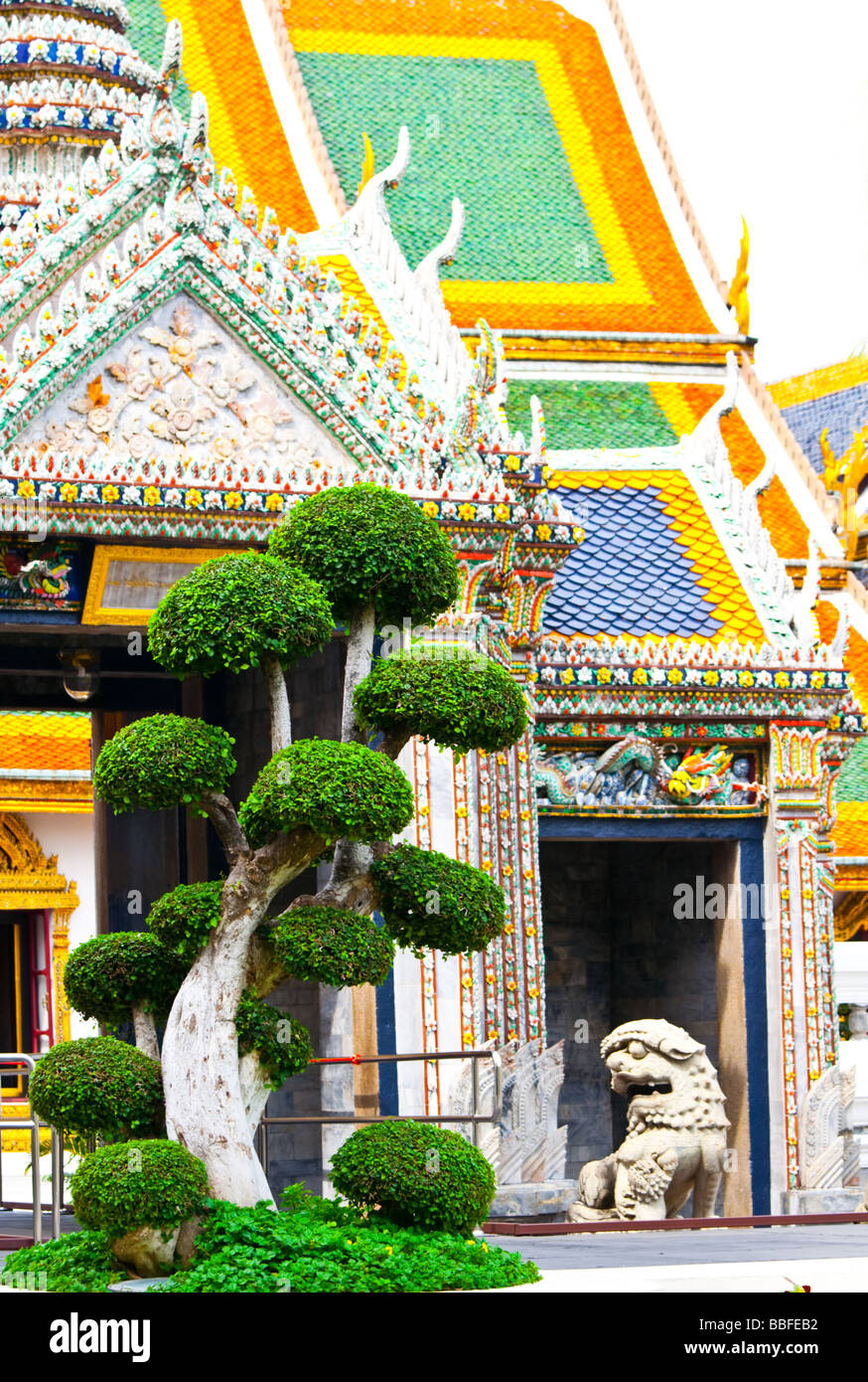 Tree in Thai temple Stock Photo - Alamy
