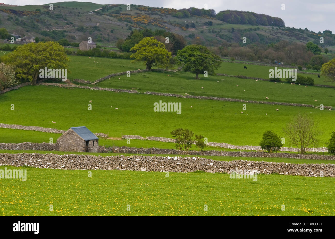 A spring rural landscape in the Peak District Stock Photo - Alamy