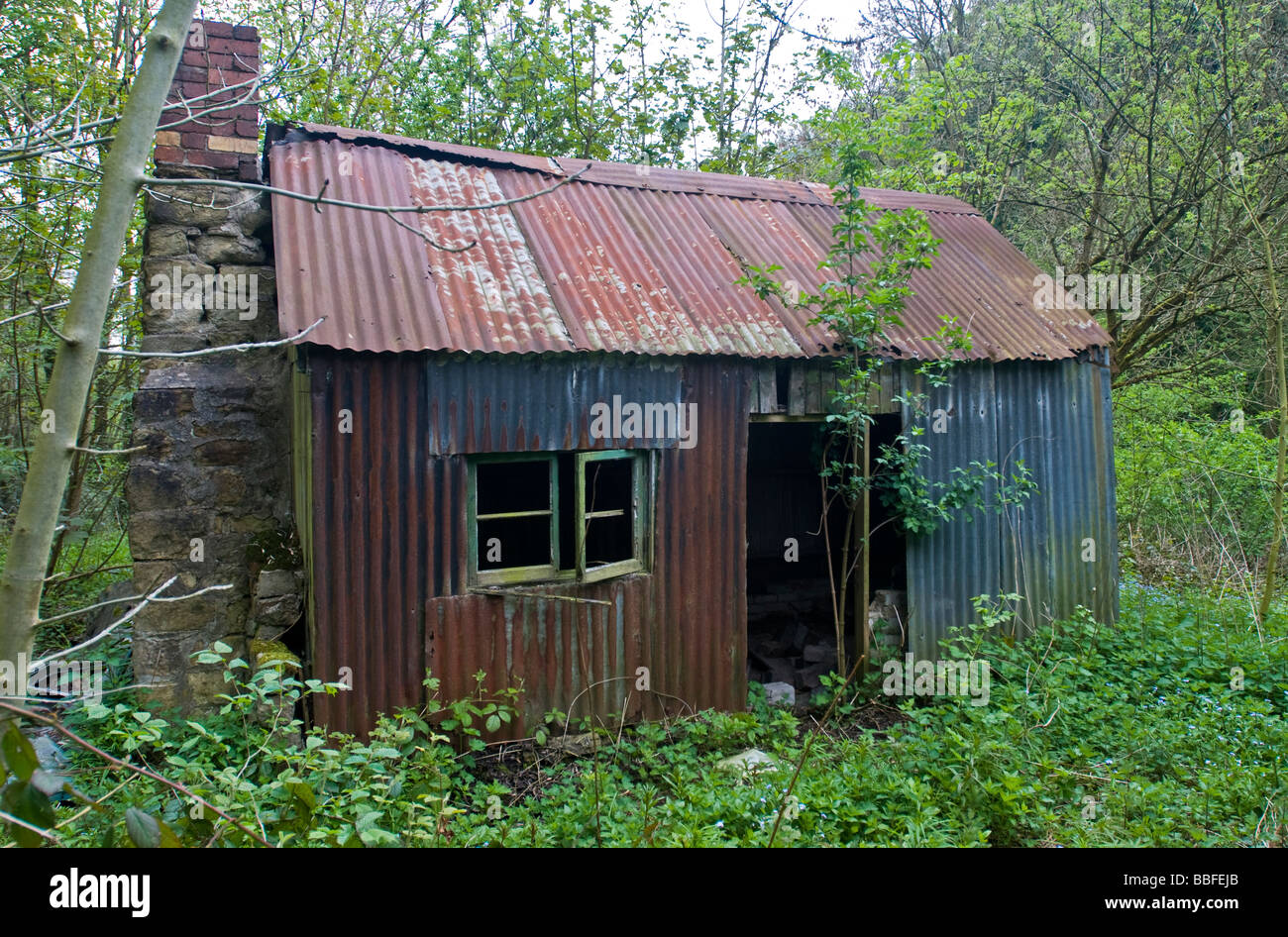 A ramshackled and unoccupied corrugated shelter, Peak District ...