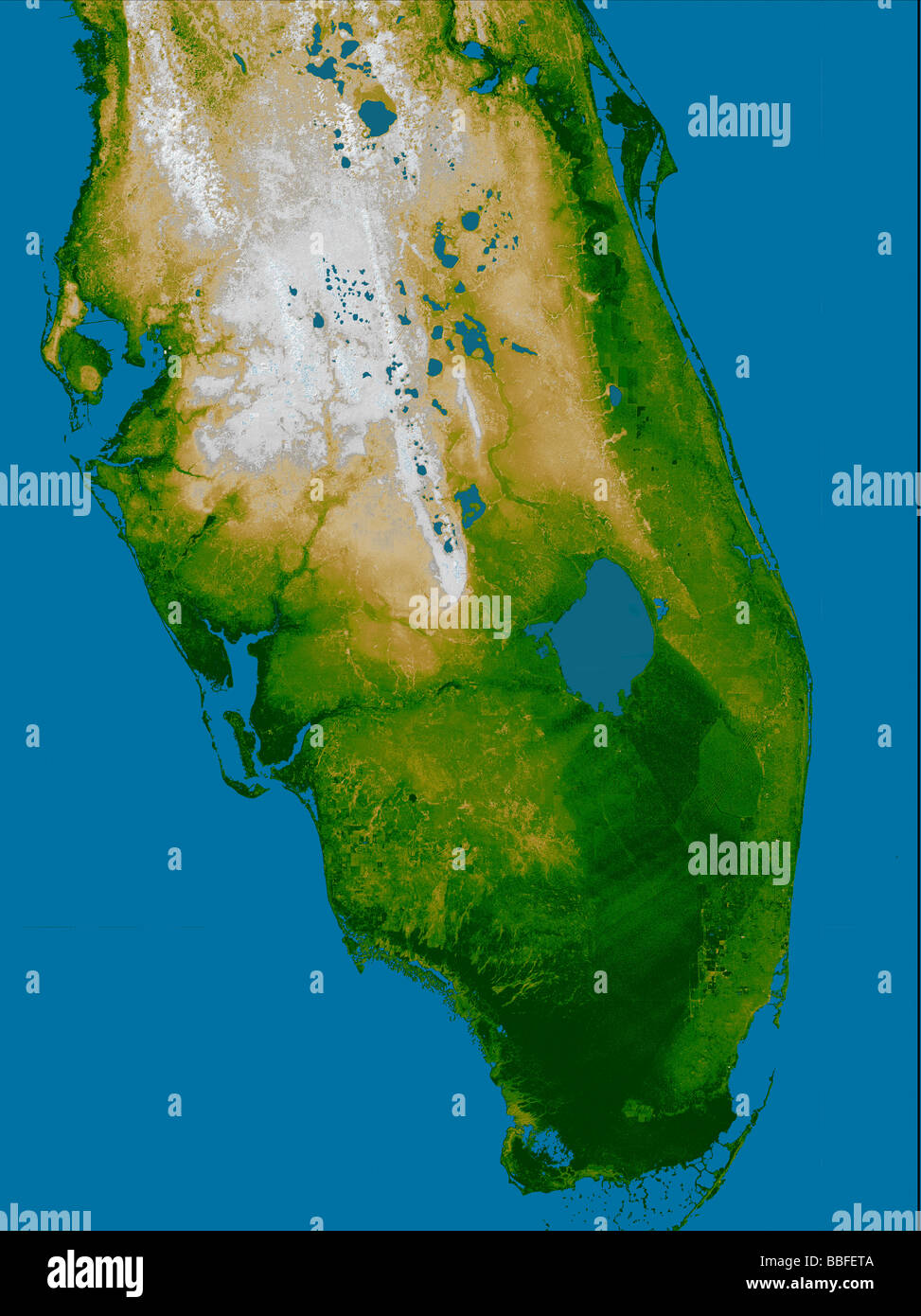 satellite view of Florida showing elevations Stock Photo - Alamy